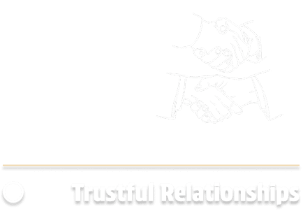 Sutton Sports - Protecting Sports Organizations from Pro to Youth